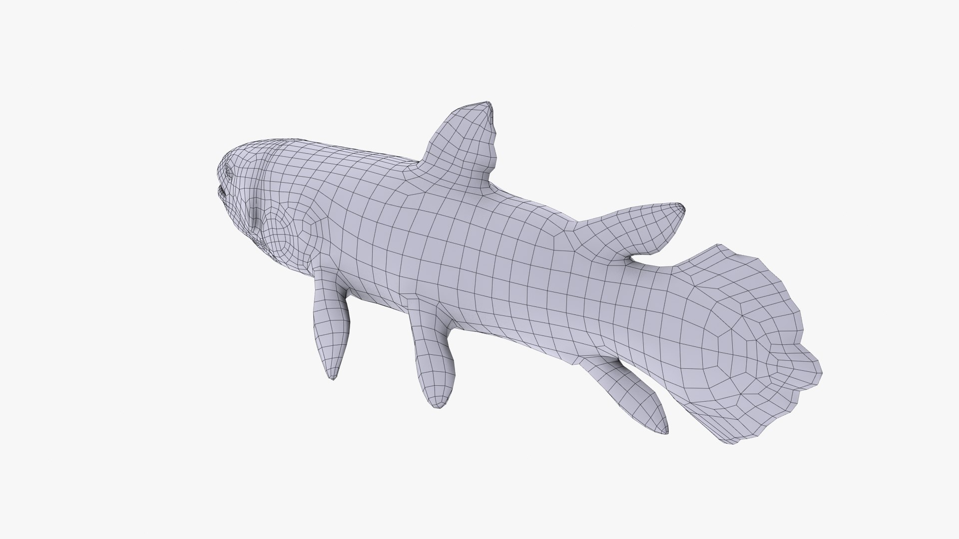 3d Coelacanth Model