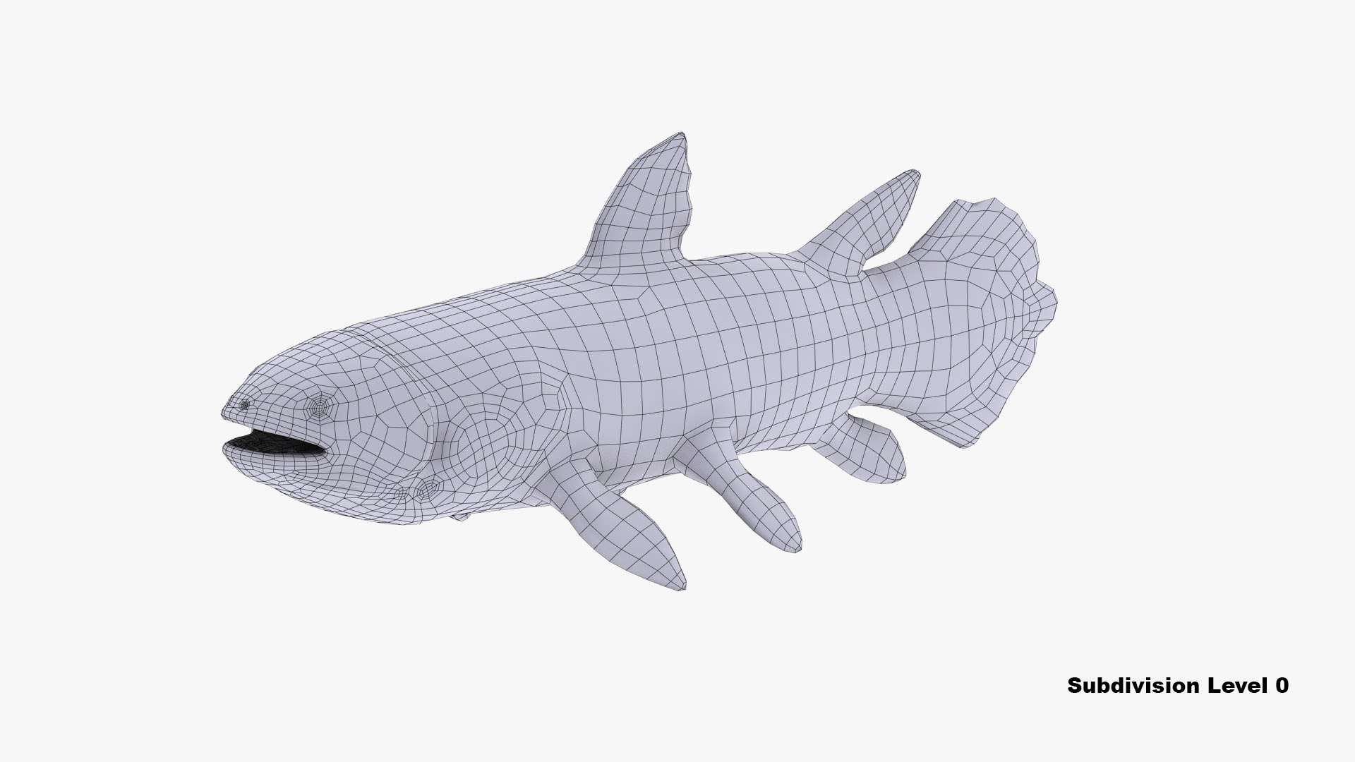 3d Coelacanth Model