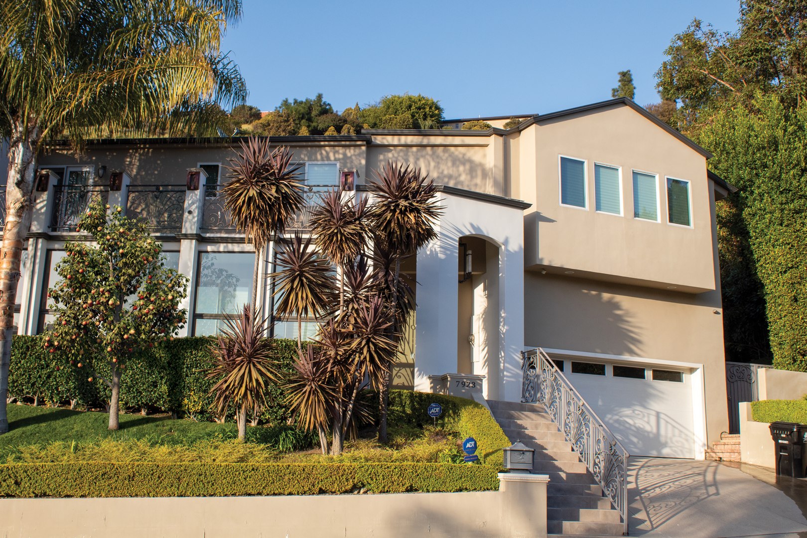 2021 PBR Apple Tree Collection - Malus Domestica 3D model - TurboSquid ...