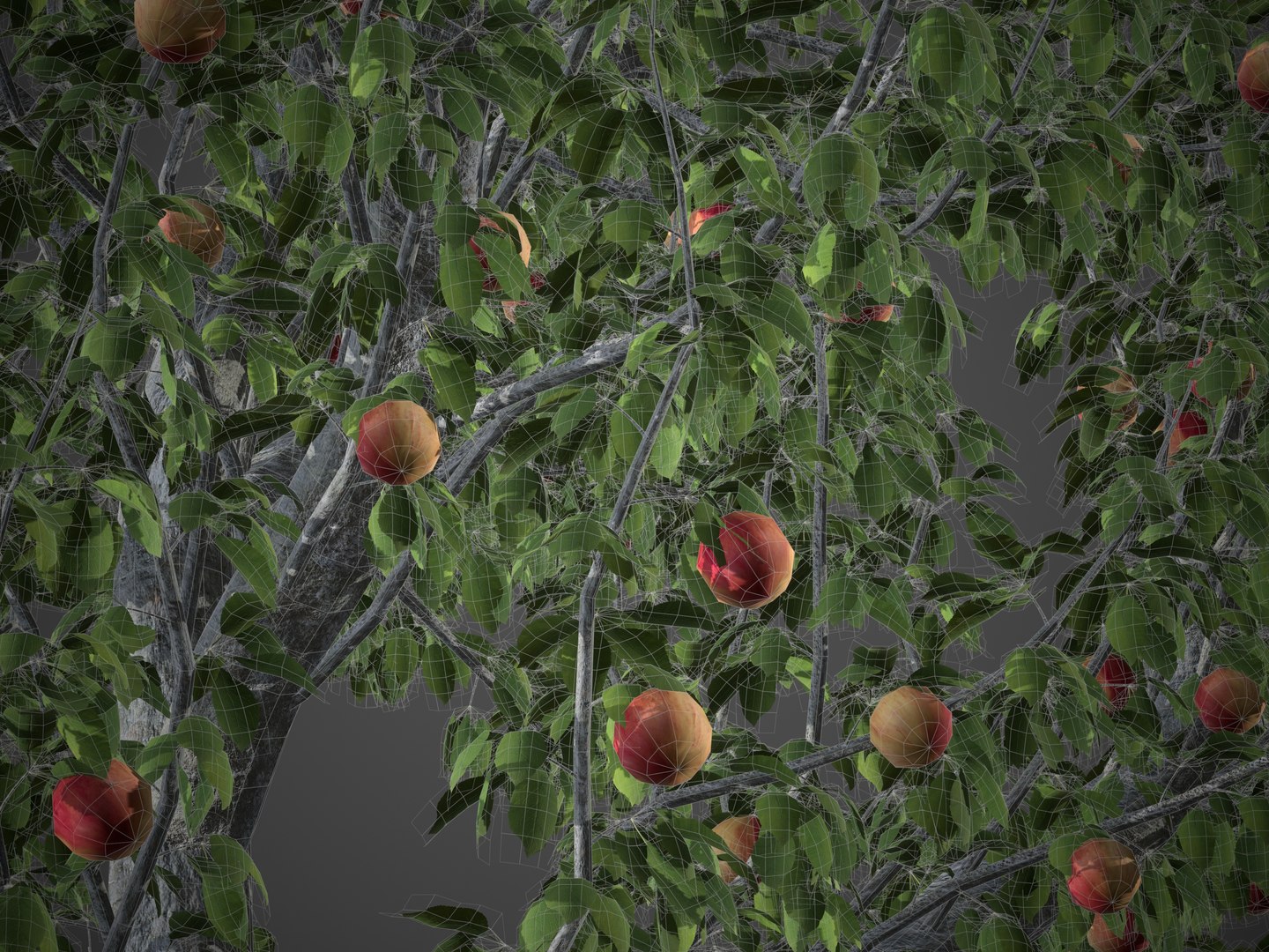 2021 PBR Apple Tree Collection - Malus Domestica 3D model - TurboSquid ...