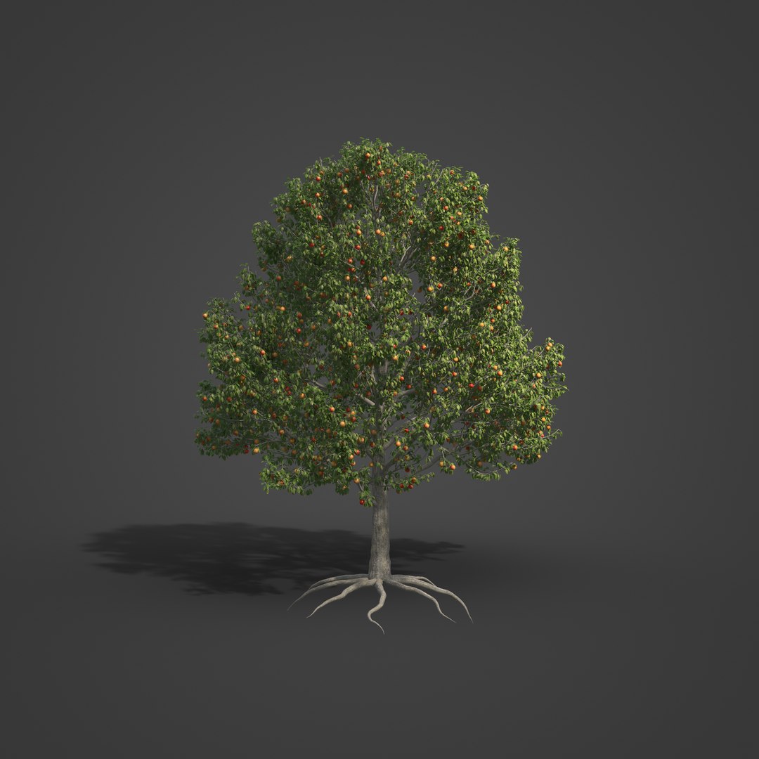 2021 PBR Apple Tree Collection - Malus Domestica 3D model - TurboSquid ...