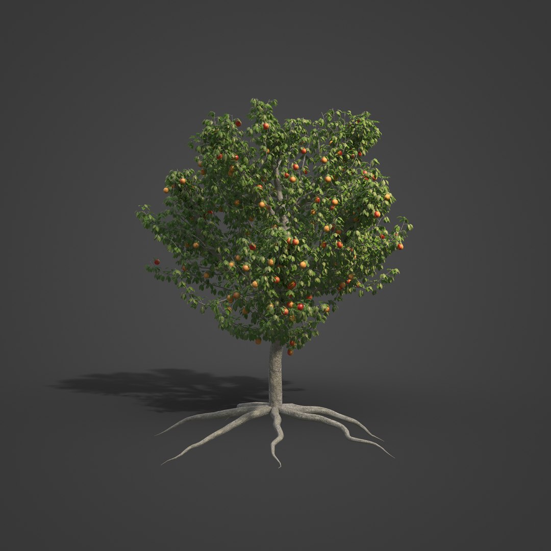 2021 PBR Apple Tree Collection - Malus Domestica 3D model - TurboSquid ...