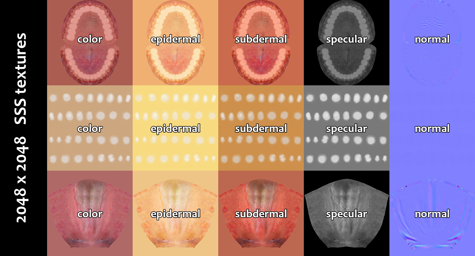 3D model human teeth - TurboSquid 1354634