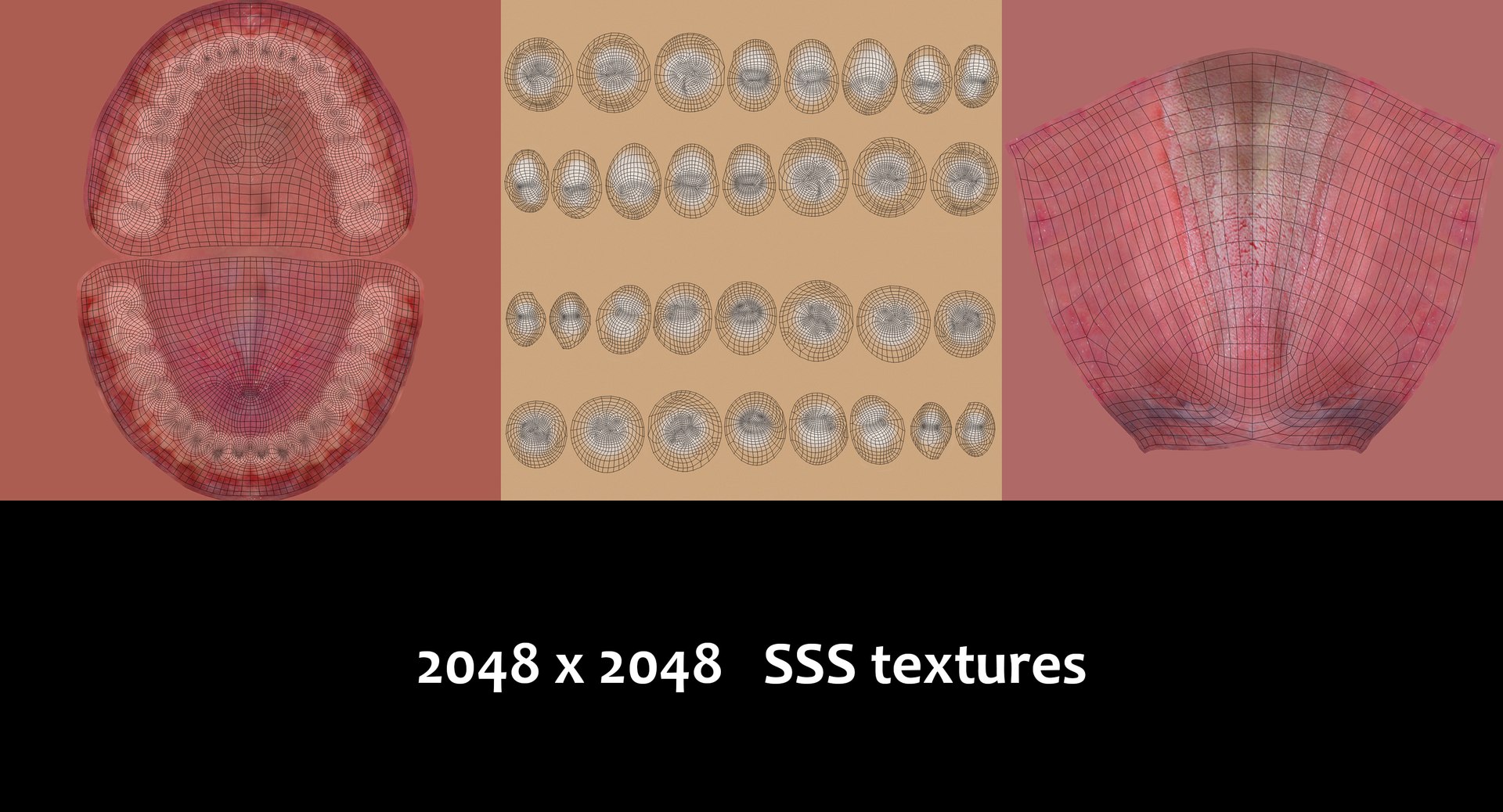 3D model human teeth - TurboSquid 1354634