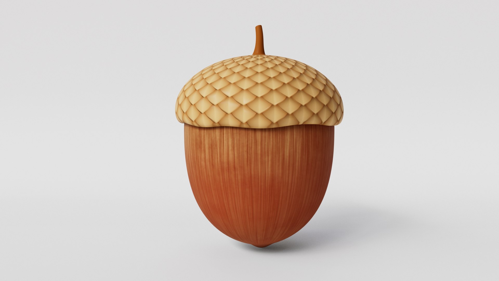 3D Acorn Model - TurboSquid 2431551