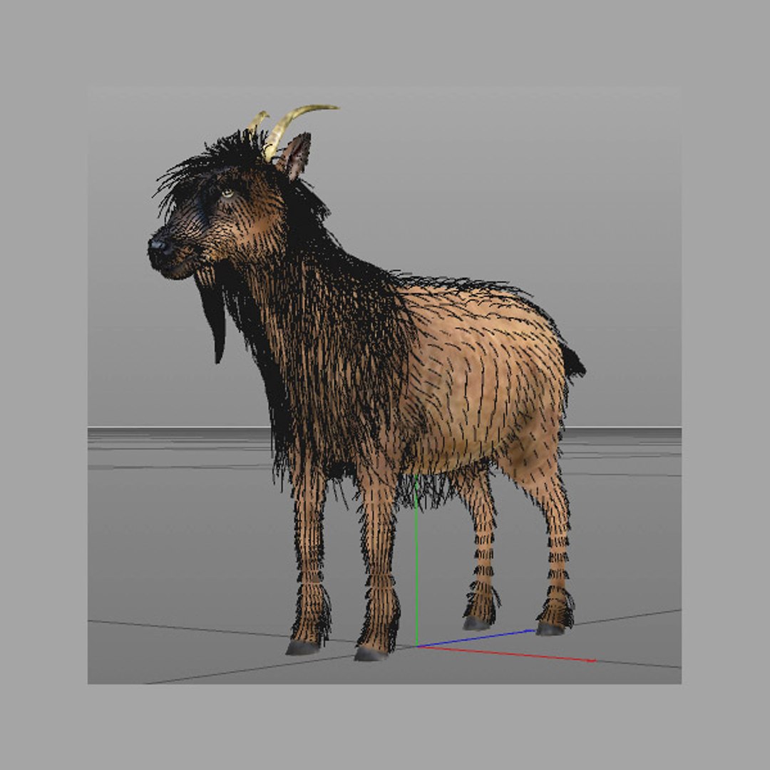 Goat animal 3D model - TurboSquid 1340263