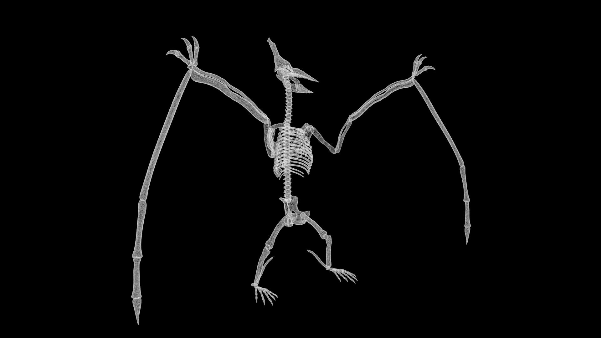 3D Dinosaur Skeletons - TurboSquid 1965298
