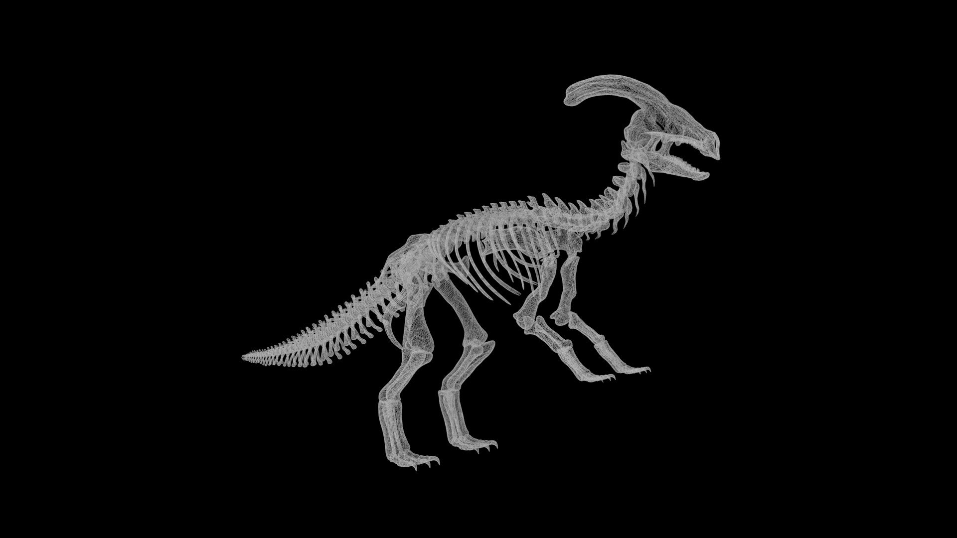 3D Dinosaur Skeletons - TurboSquid 1965298