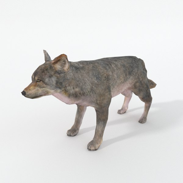 modelo 3d Lobo - TurboSquid 1340910