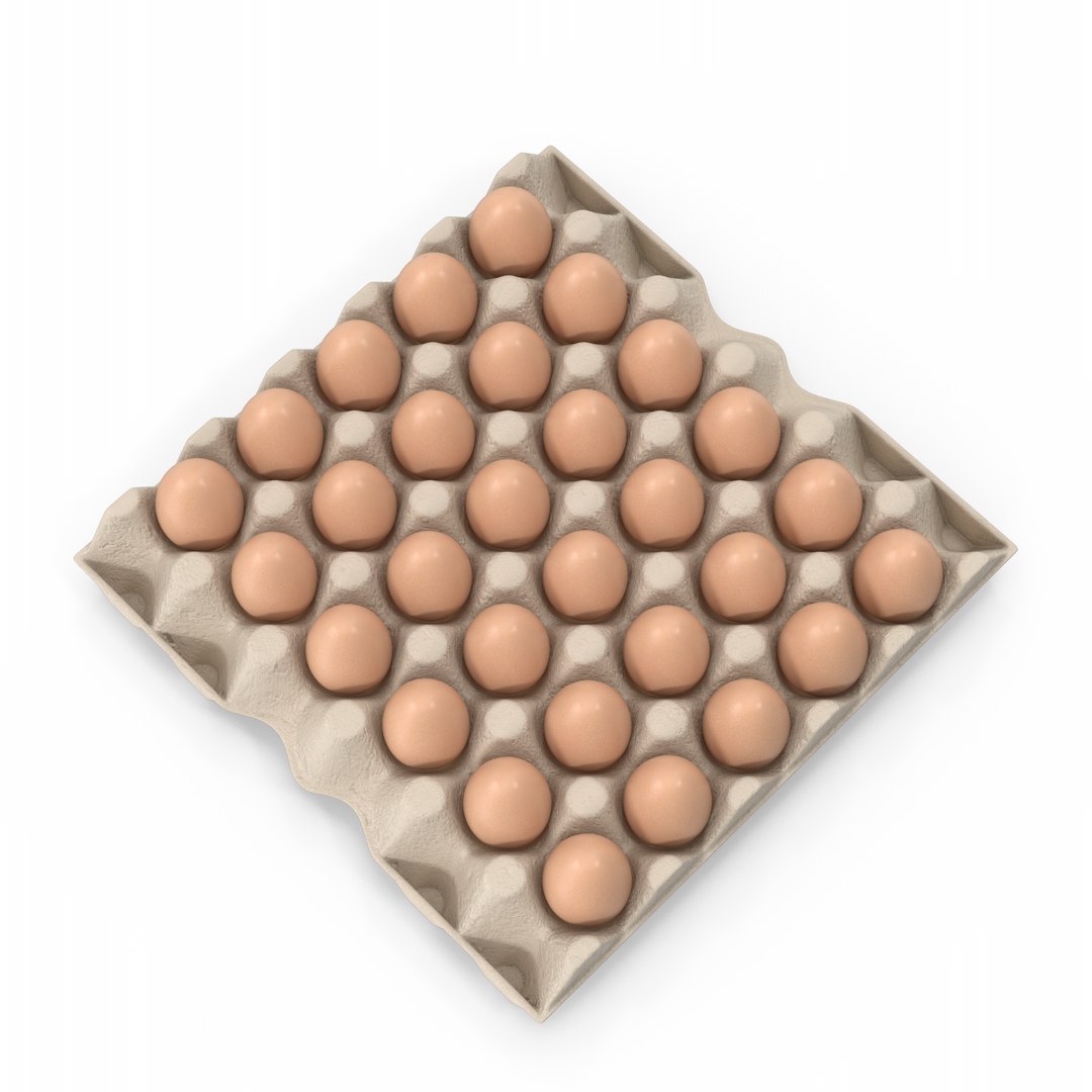 Egg Carton With Eggs Model - TurboSquid 2205880