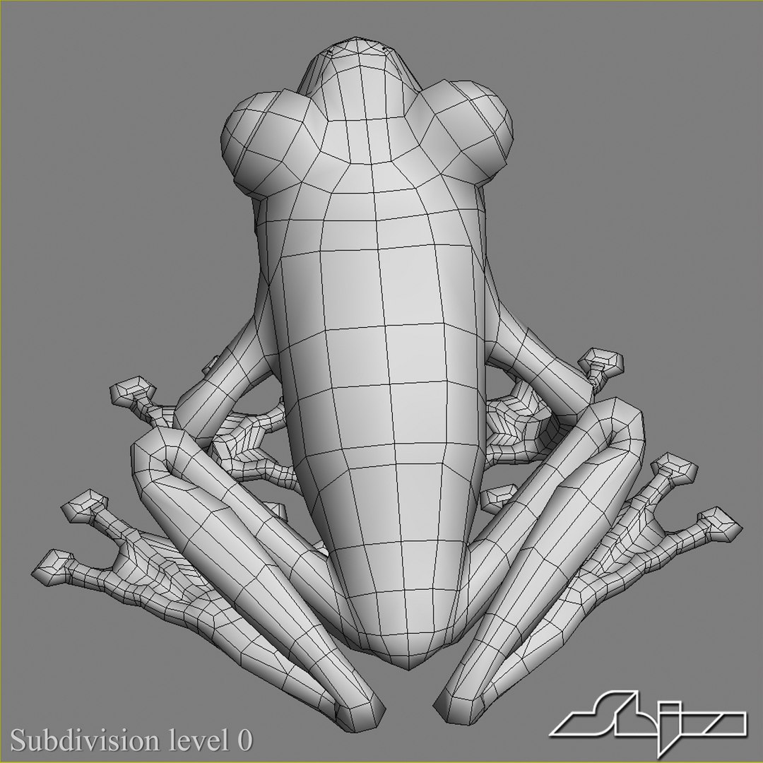 3d Model Frog Amphibian