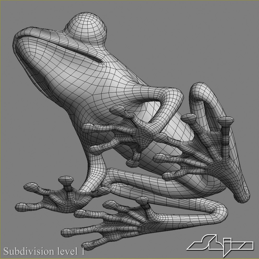 3d Model Frog Amphibian