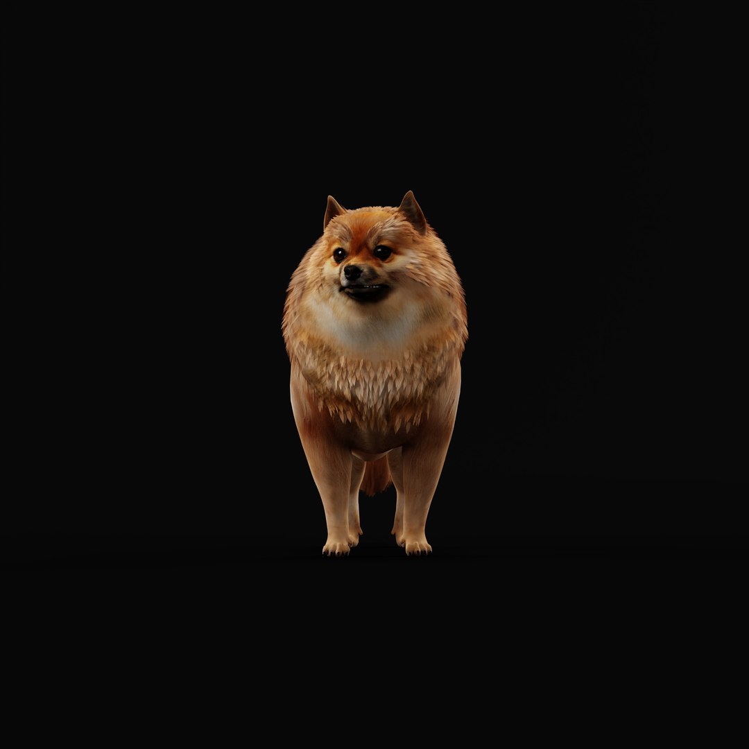 3D Model German Spitz Mittel Dog - TurboSquid 2398731