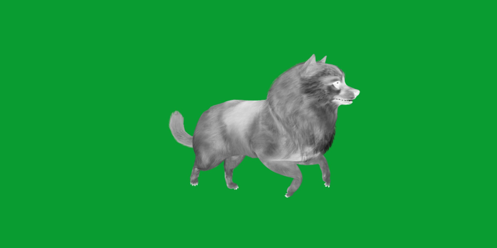3D Model German Spitz Mittel Dog - TurboSquid 2398731