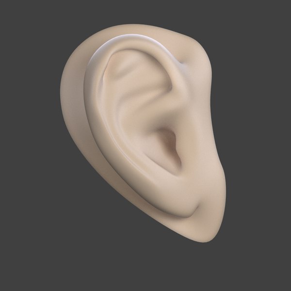 Free 3D Ears Models | TurboSquid