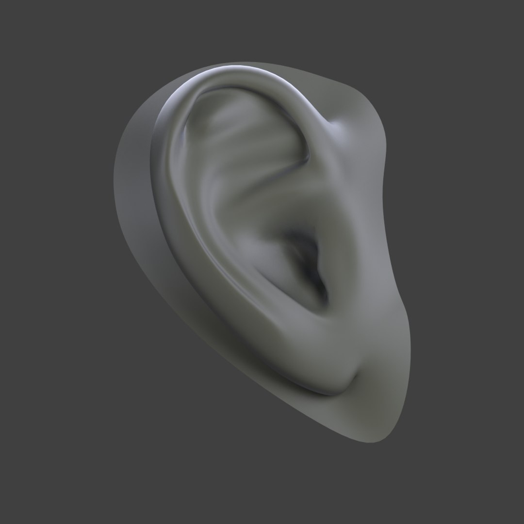 Free Human Ear 3d Model