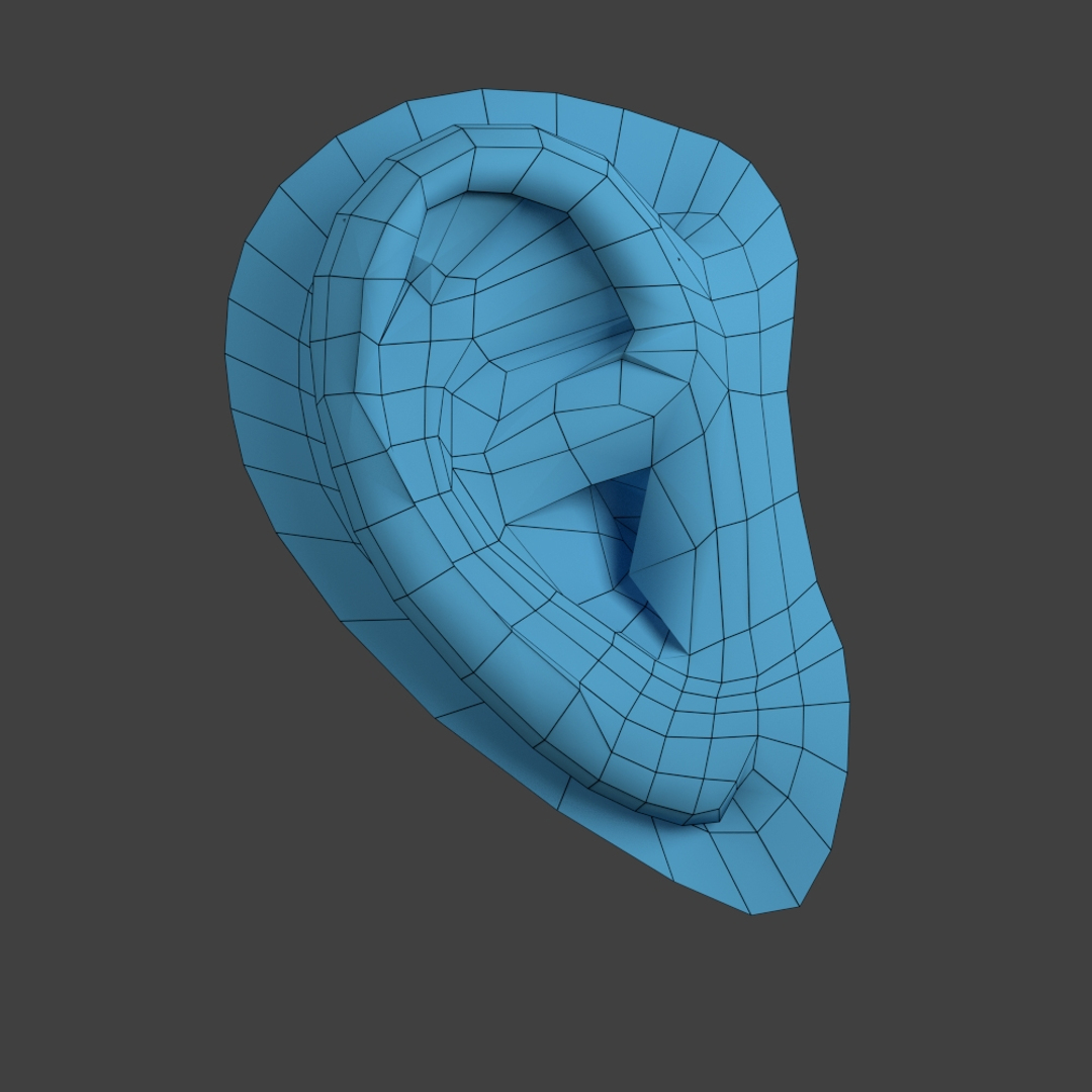 free human ear 3d model