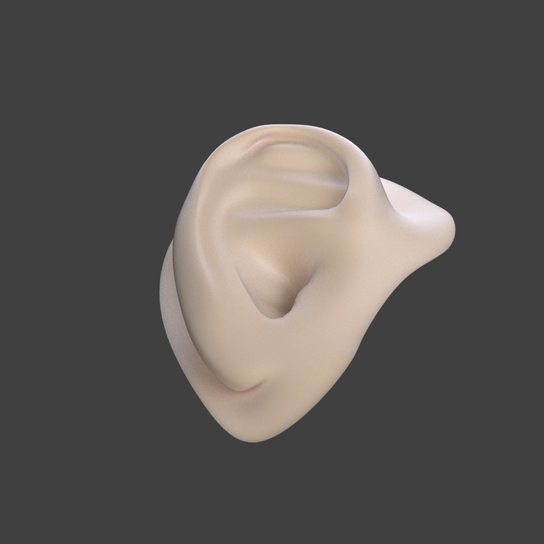 Free Human Ear 3d Model