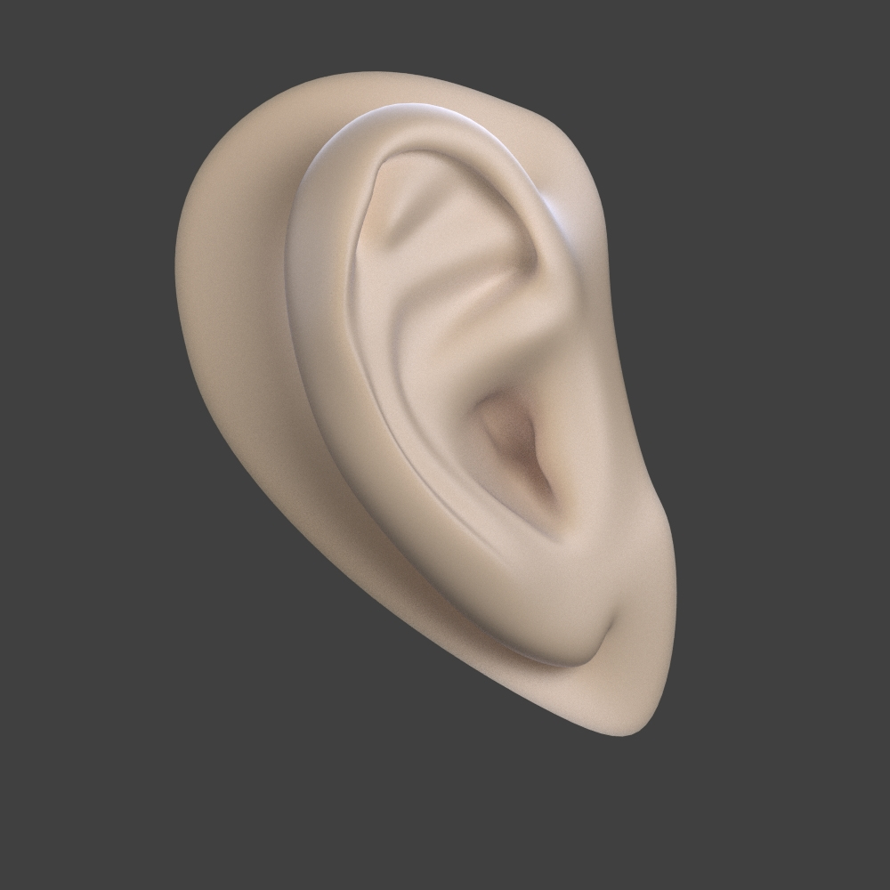 modelo 3d Oreja gratis - TurboSquid 902753