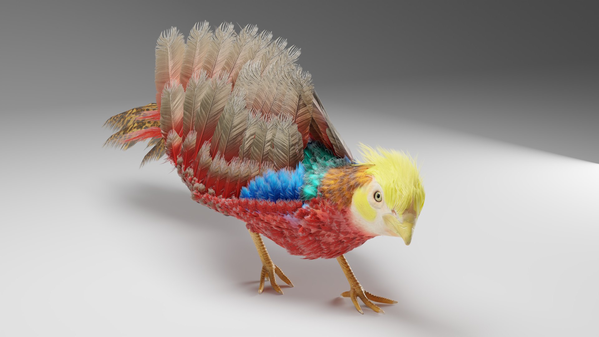 3D Golden Pheasant Model - TurboSquid 2079739