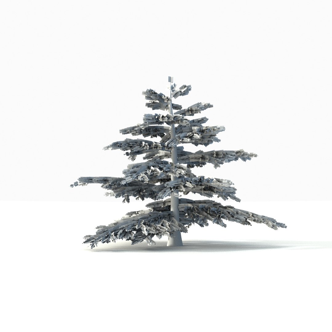 Fir Tree Animation 3d C4d
