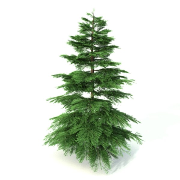 tree animation c4d