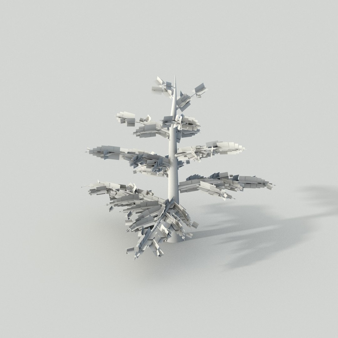 Fir Tree Animation 3d C4d