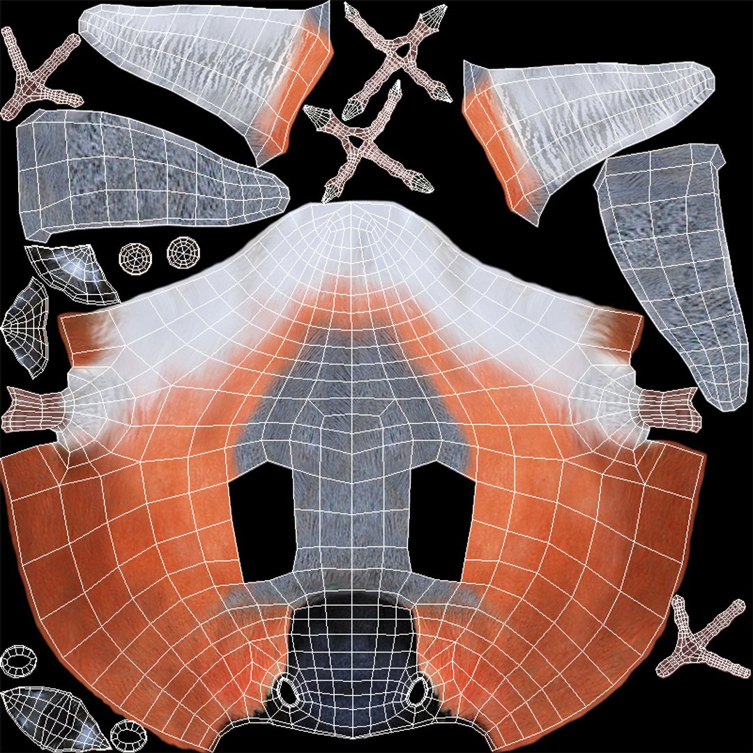 3D Model Bullfinch - TurboSquid 2002007