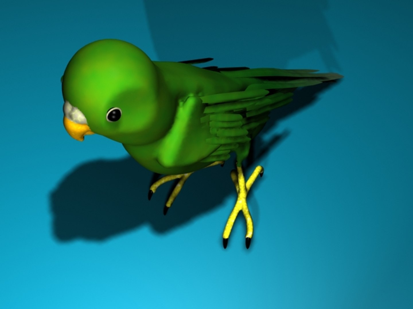 parakeet bird 3d model