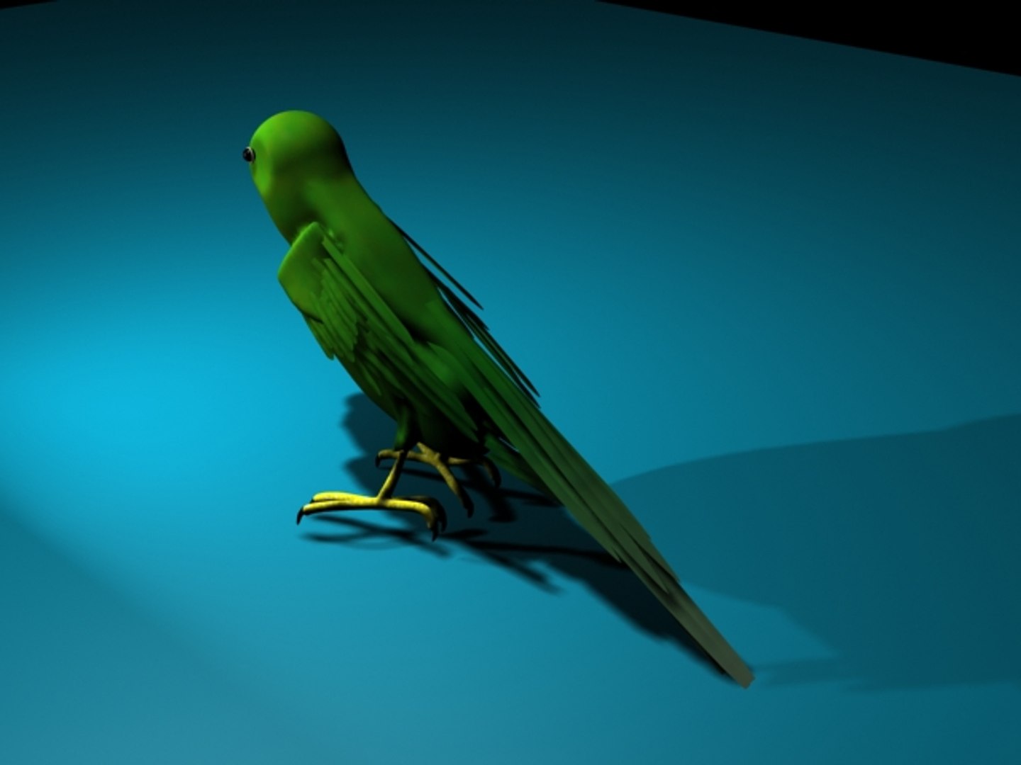 parakeet bird 3d model