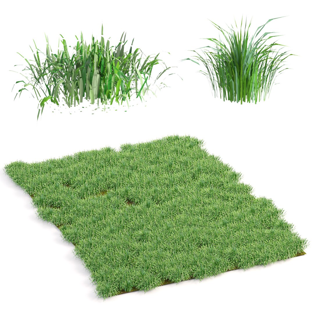 Grass Meadow Blades 3D Model - TurboSquid 2133967