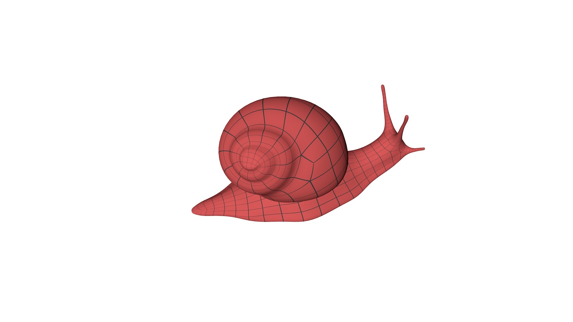 Base Mesh Snail 3D - TurboSquid 1661226
