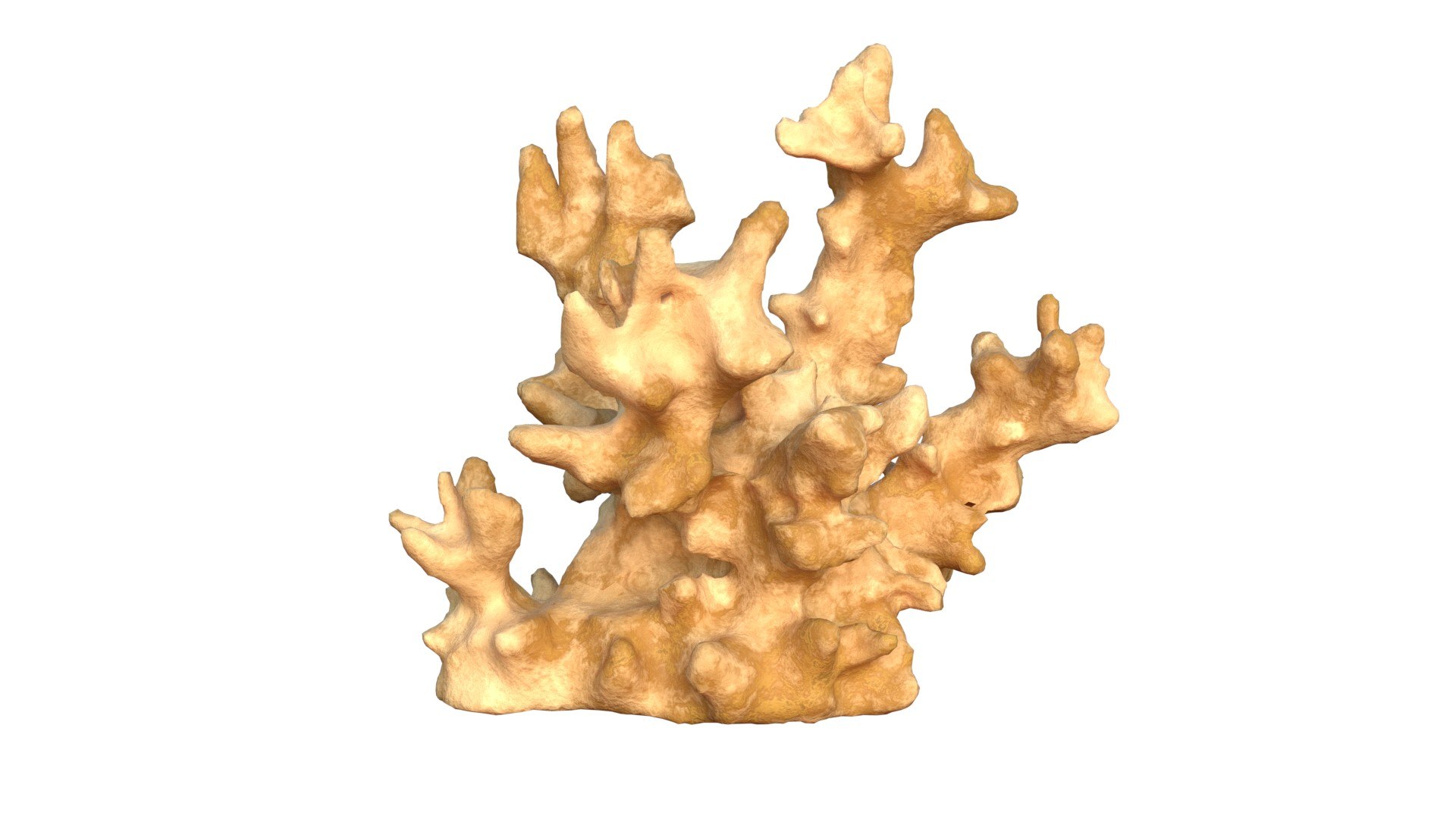 3D Coral Reef V3 - TurboSquid 2370932