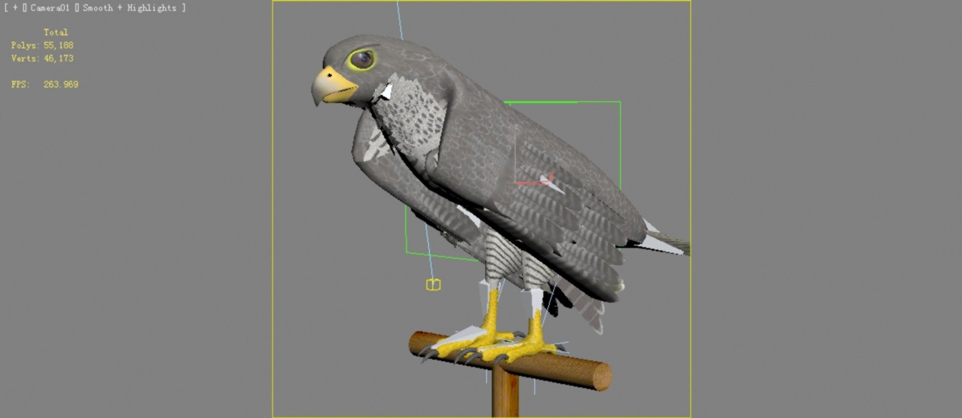 3D Peregrine Falcon Animated - TurboSquid 2066577