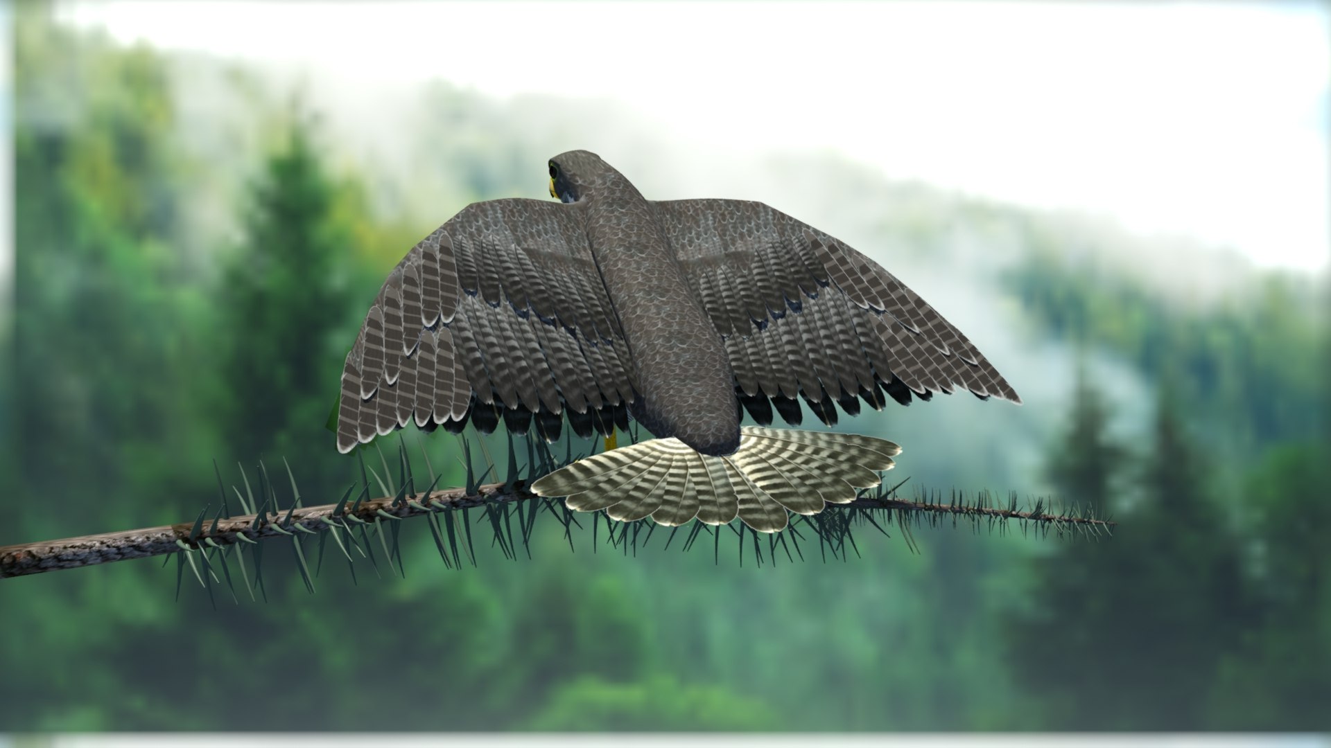 3D Peregrine Falcon Animated - TurboSquid 2066577