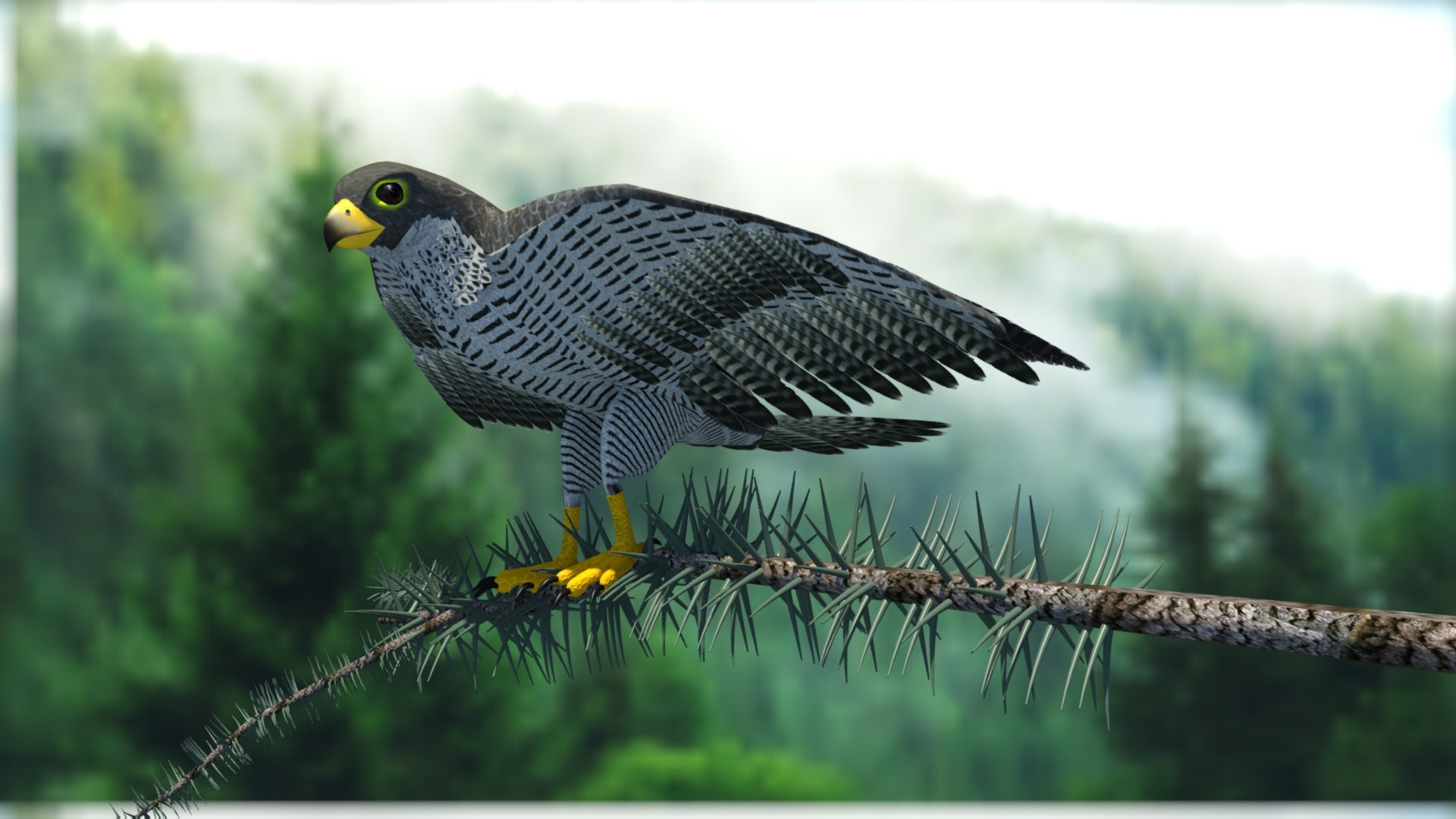 3D Peregrine Falcon Animated - TurboSquid 2066577