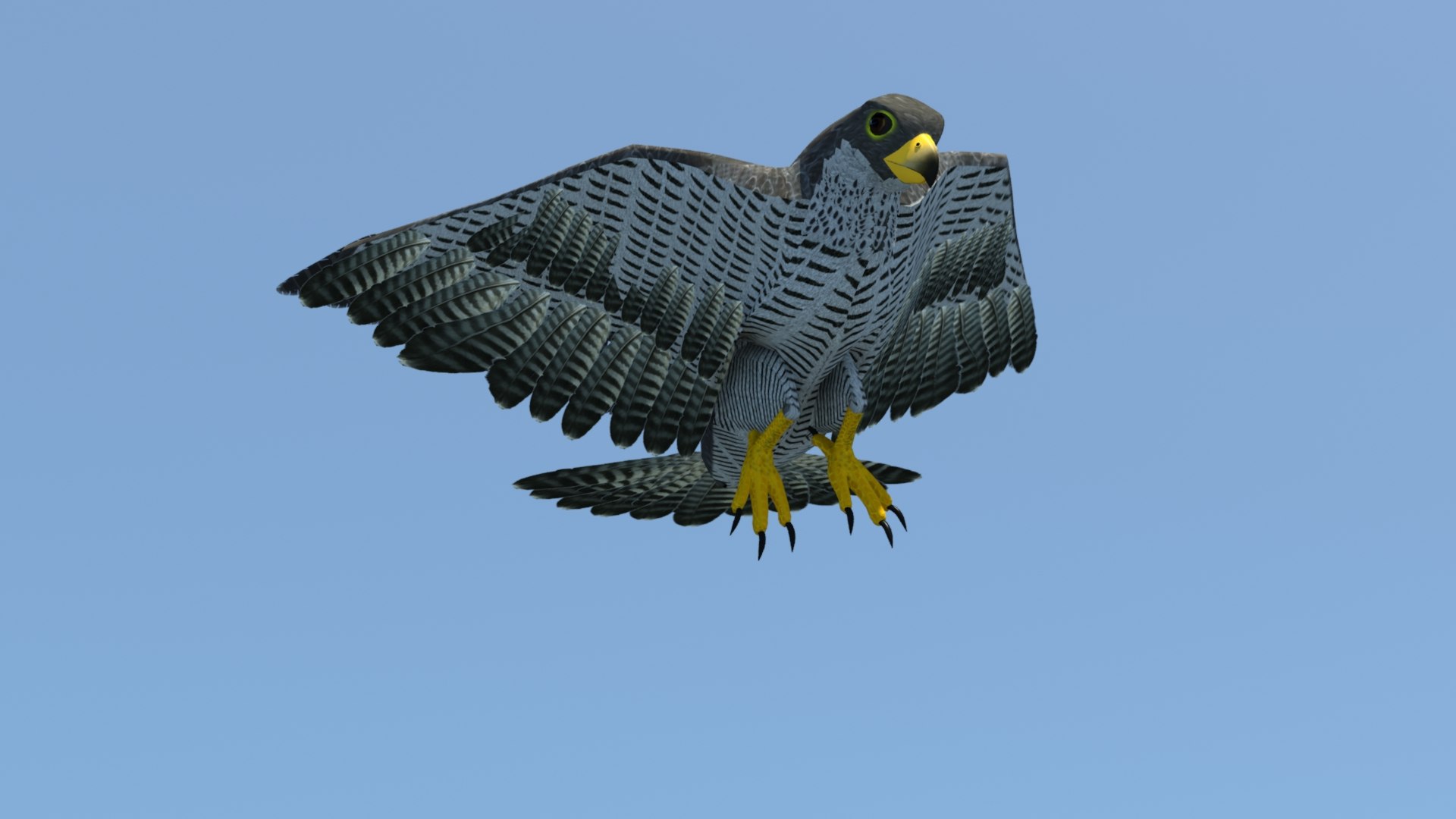 3D Peregrine Falcon Animated - TurboSquid 2066577