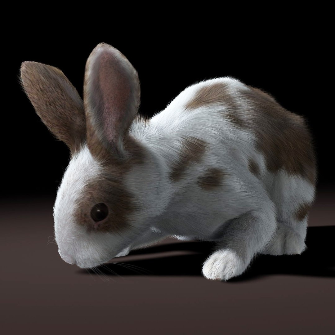 Rabbit Spotted Rigged Fur Ma