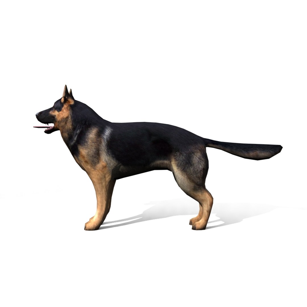 German Shepherd 3d Model