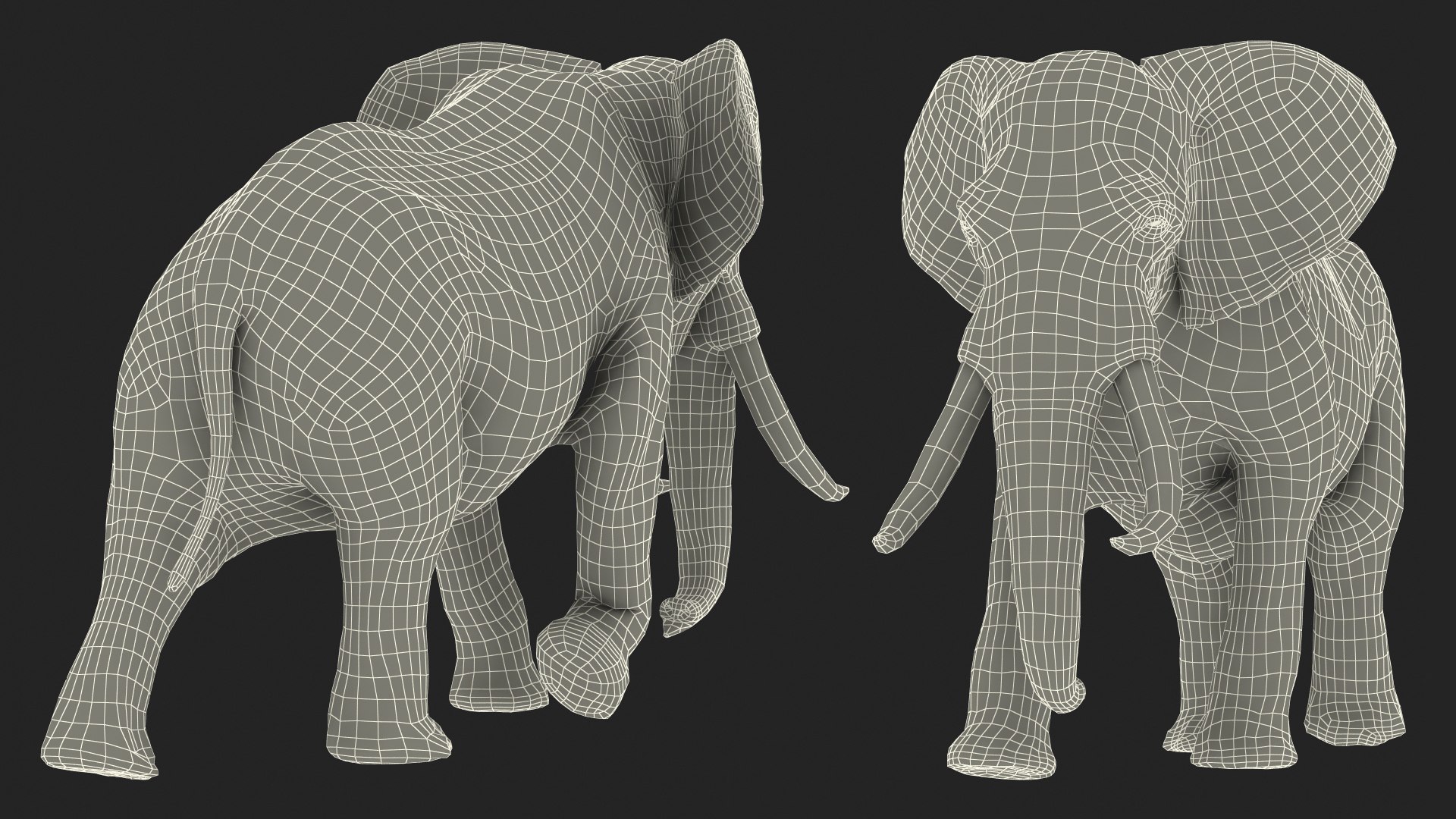 3D elephants mammal animal - TurboSquid 1583071