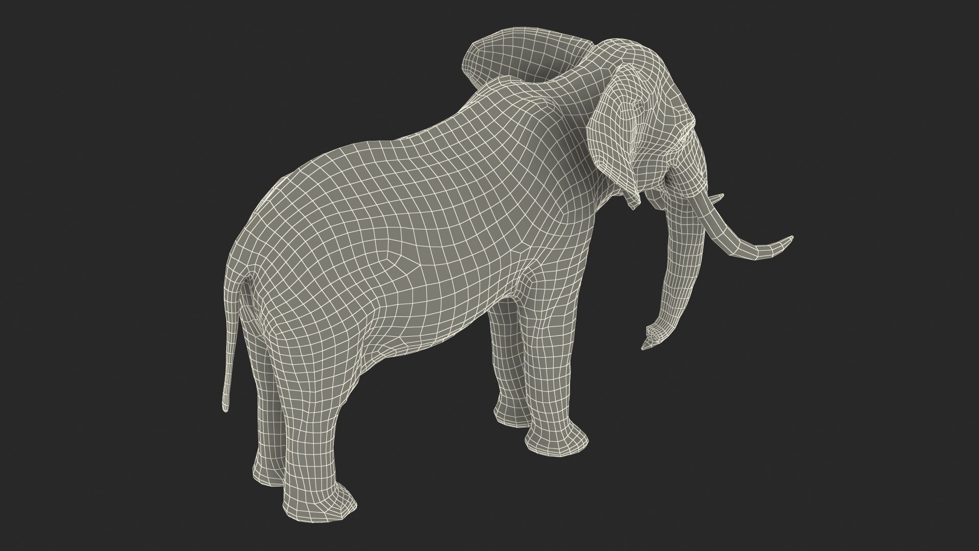 3D elephants mammal animal - TurboSquid 1583071