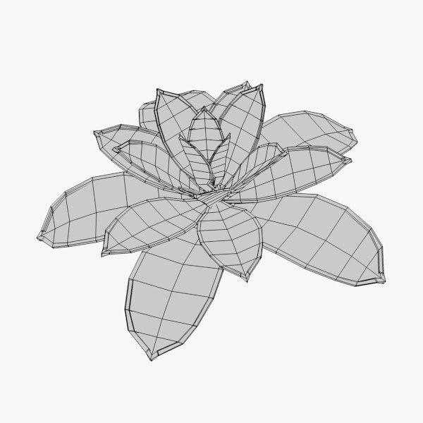 suculent 3d model