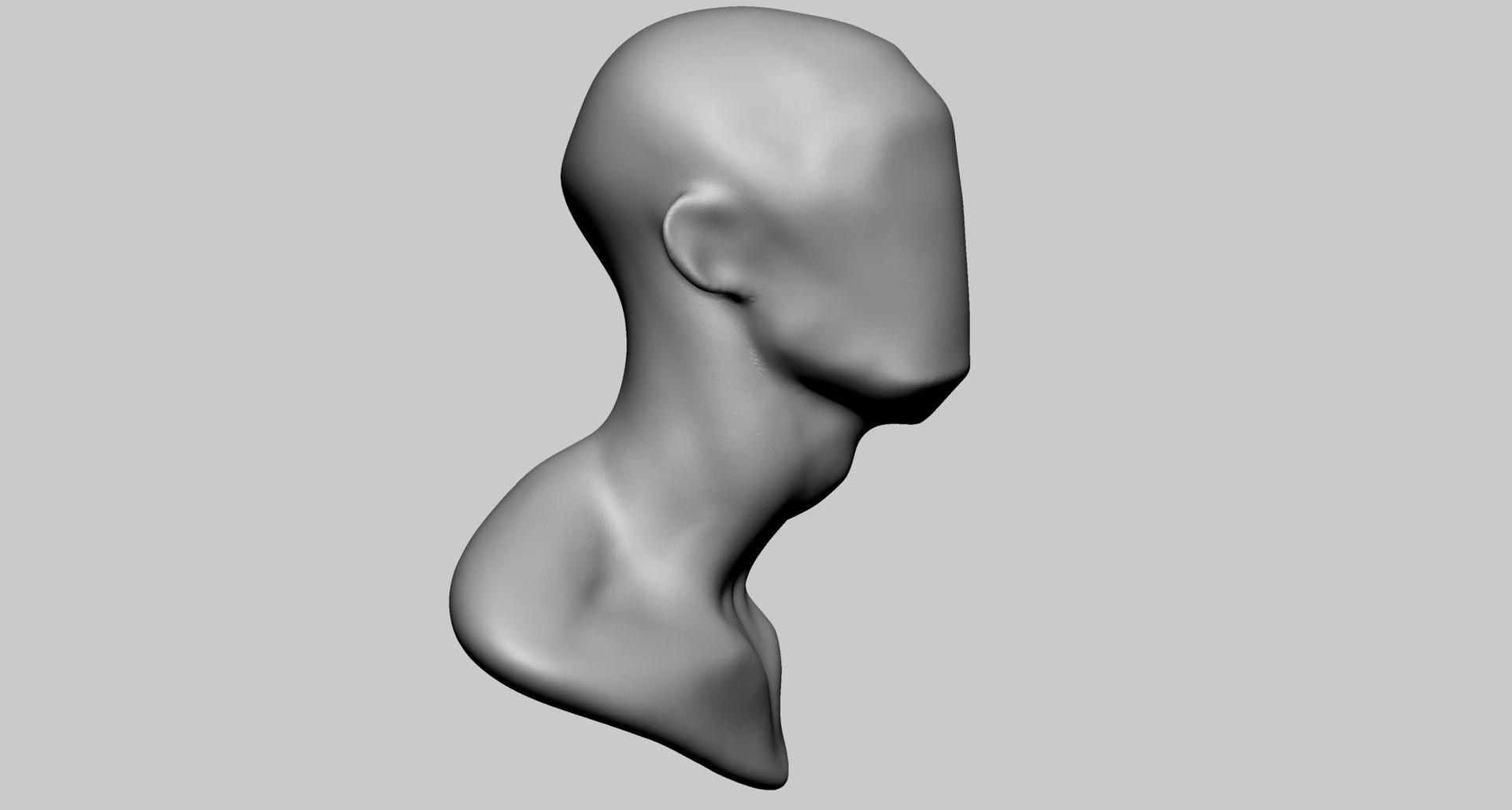 3D head anatomy model - TurboSquid 1612810
