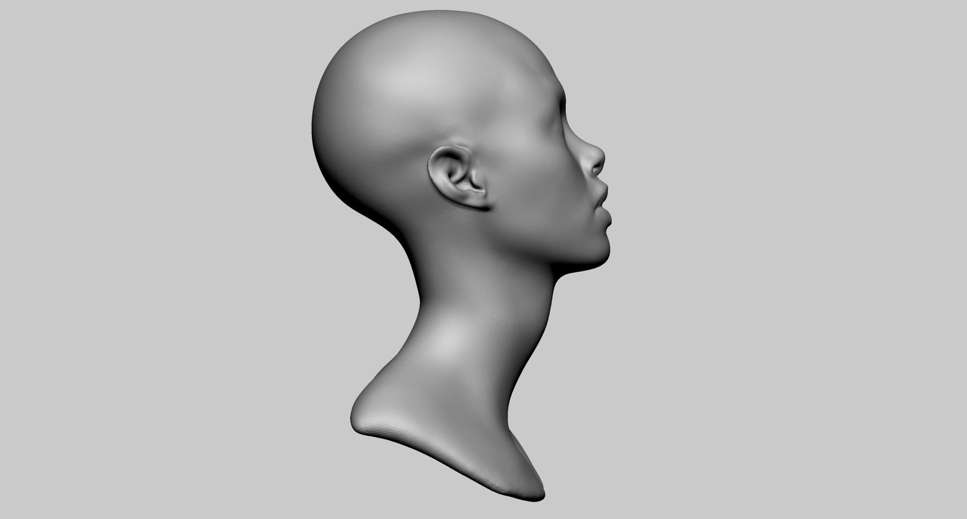 3D head anatomy model - TurboSquid 1612810