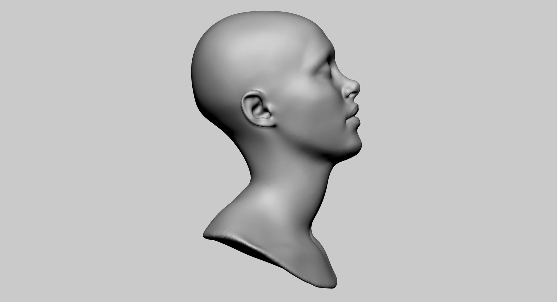 3D head anatomy model - TurboSquid 1612810