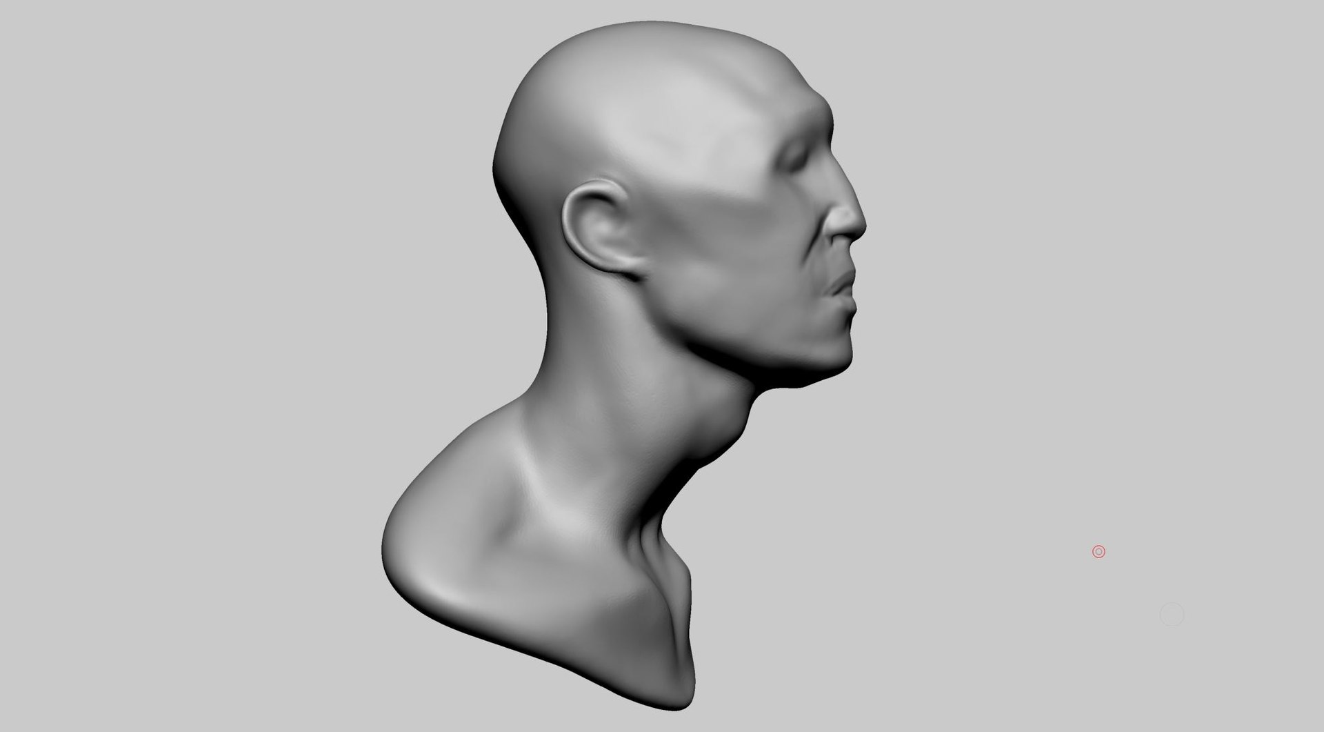 3D head anatomy model - TurboSquid 1612810