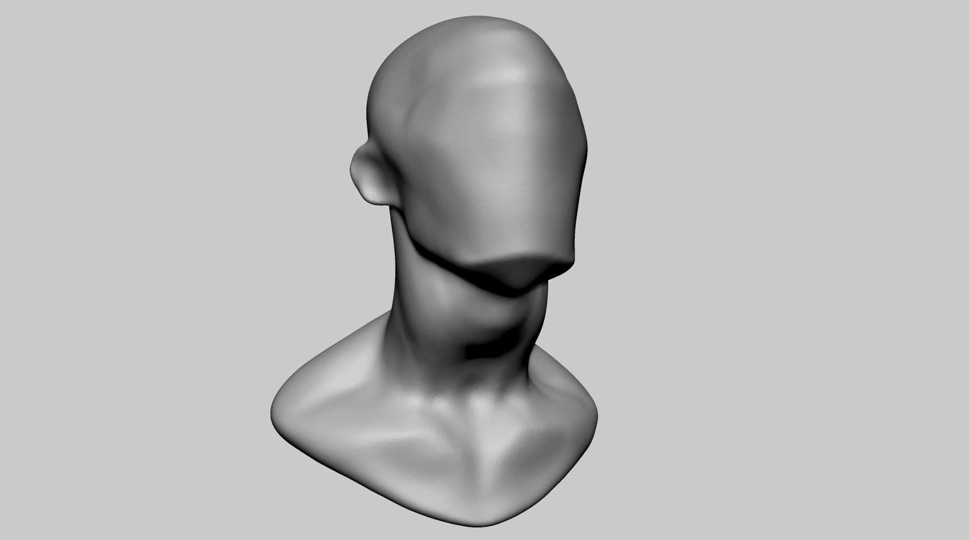 3D head anatomy model - TurboSquid 1612810