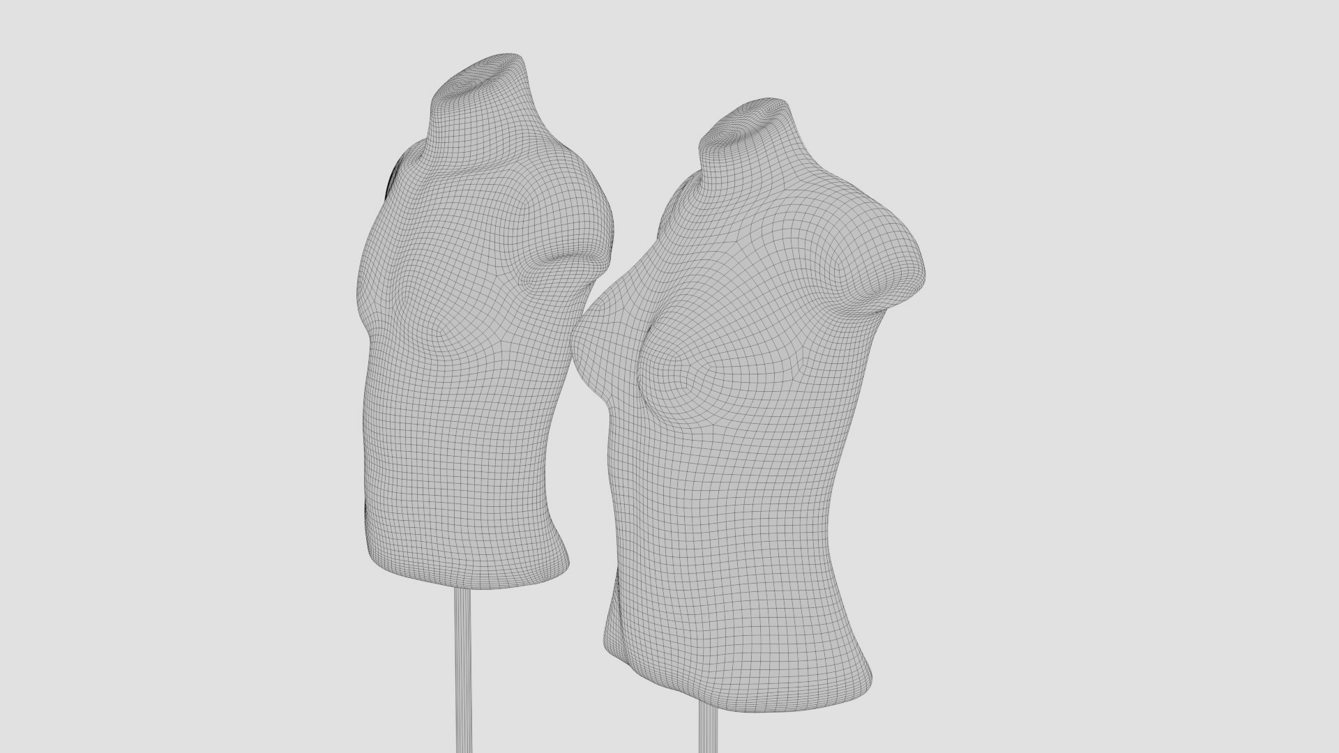 Mannequin Torso Set Of Male And Female 3D - TurboSquid 1769379