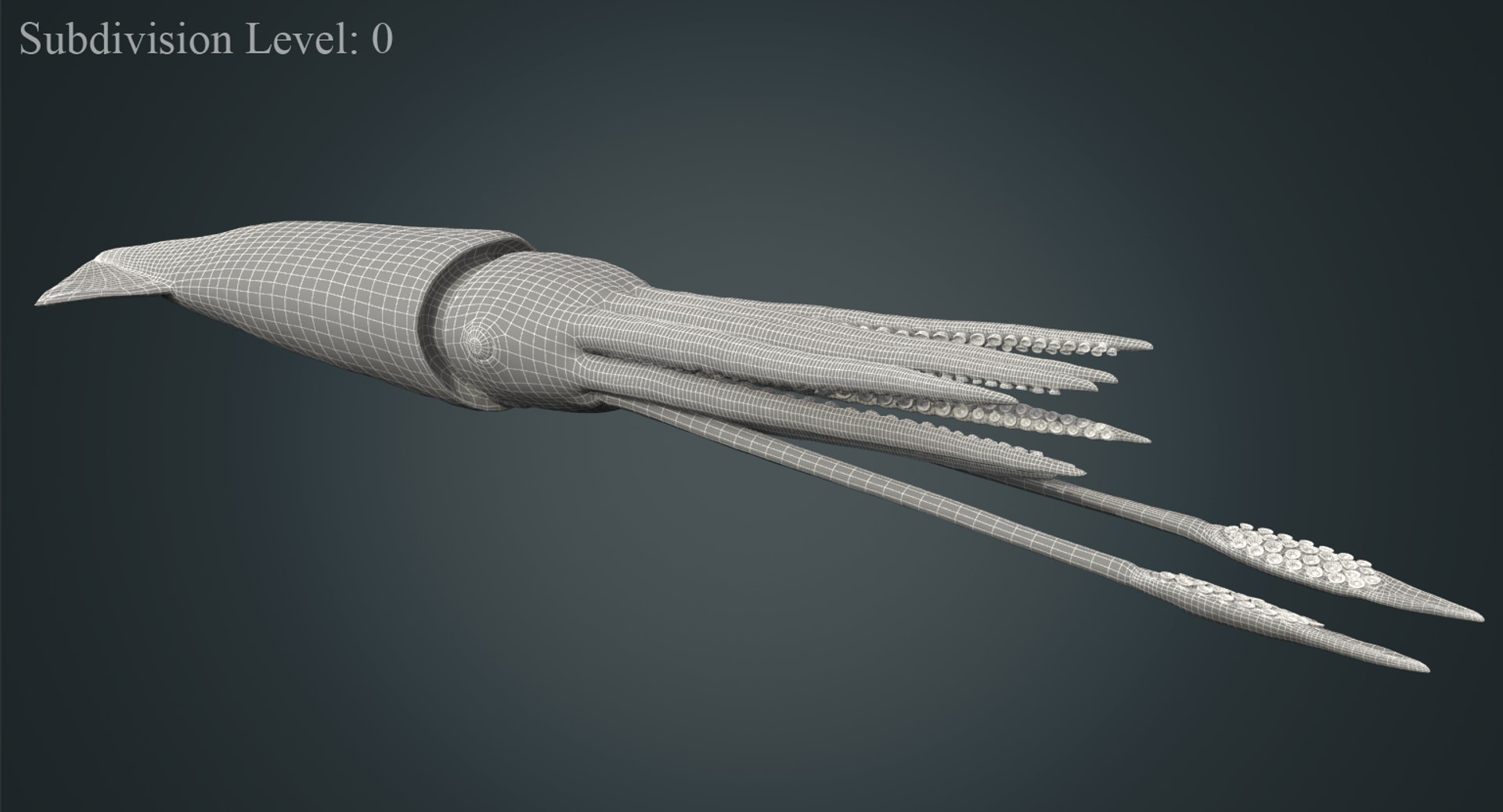 3D model giant squid - TurboSquid 1170832