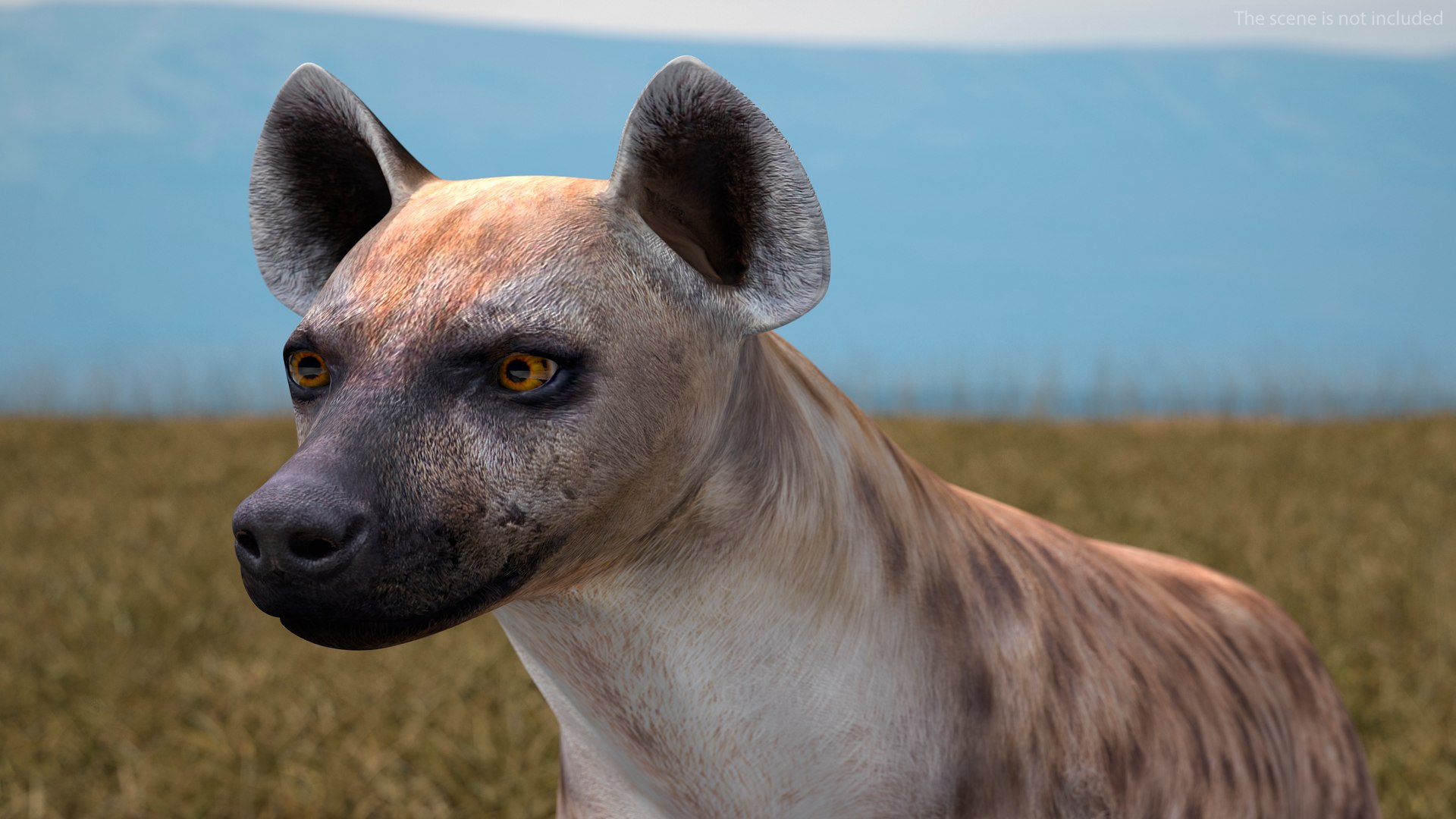 Hyena Rigged For Maya 3D Model - TurboSquid 1719346